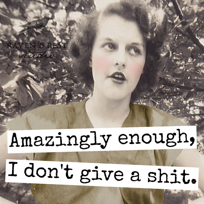 Amazingly Enough, I Don't Give A Shit. Magnet – The Tiny Art Shack